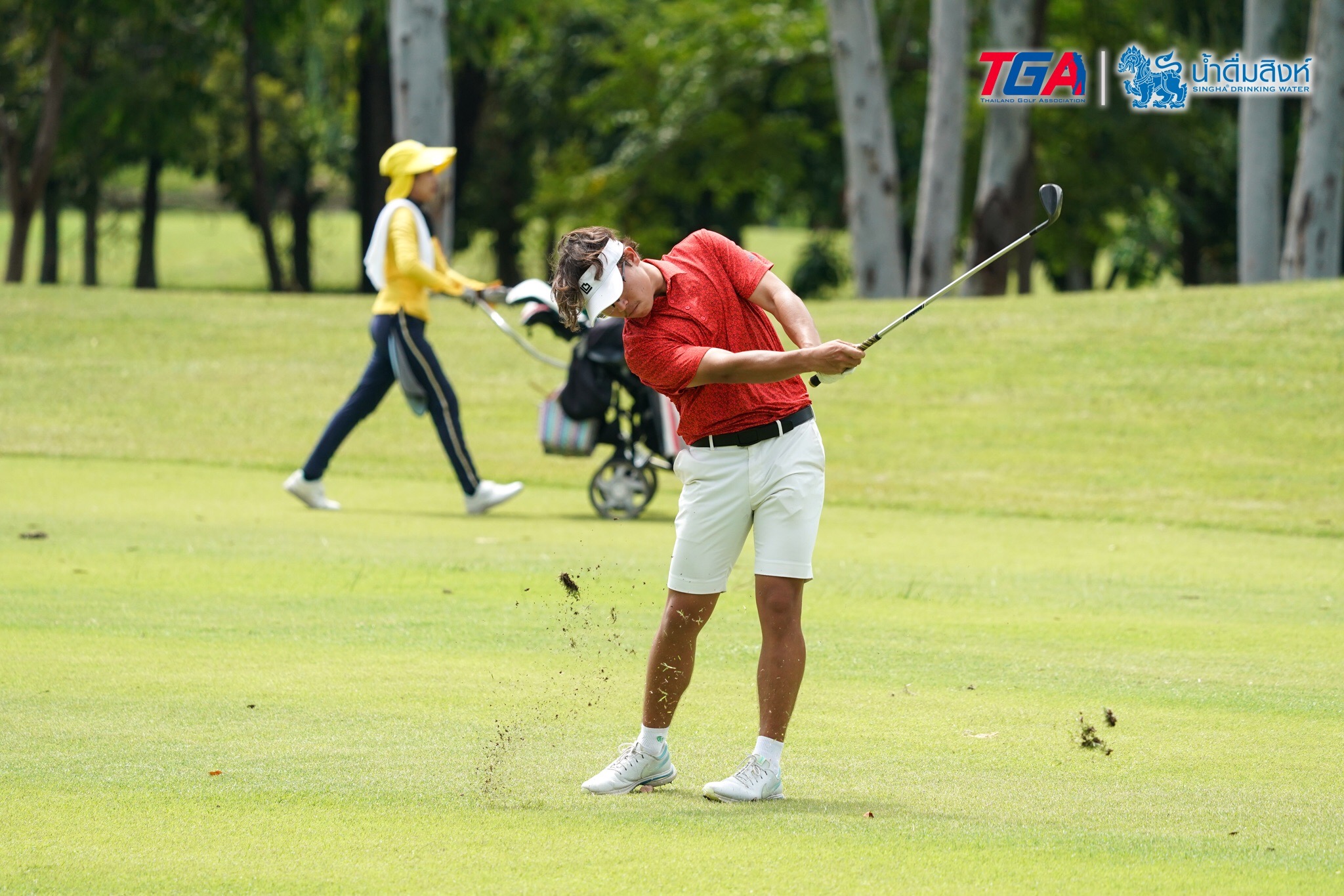 Freddie Golf CV – Professor Ted Stephenson, MBA (CMA, CPA, CFP, CFA ...